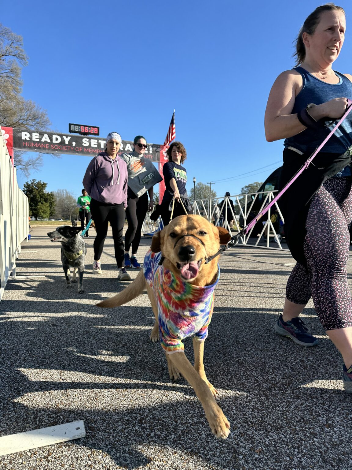 Events & Media - The Humane Society of Memphis & Shelby County